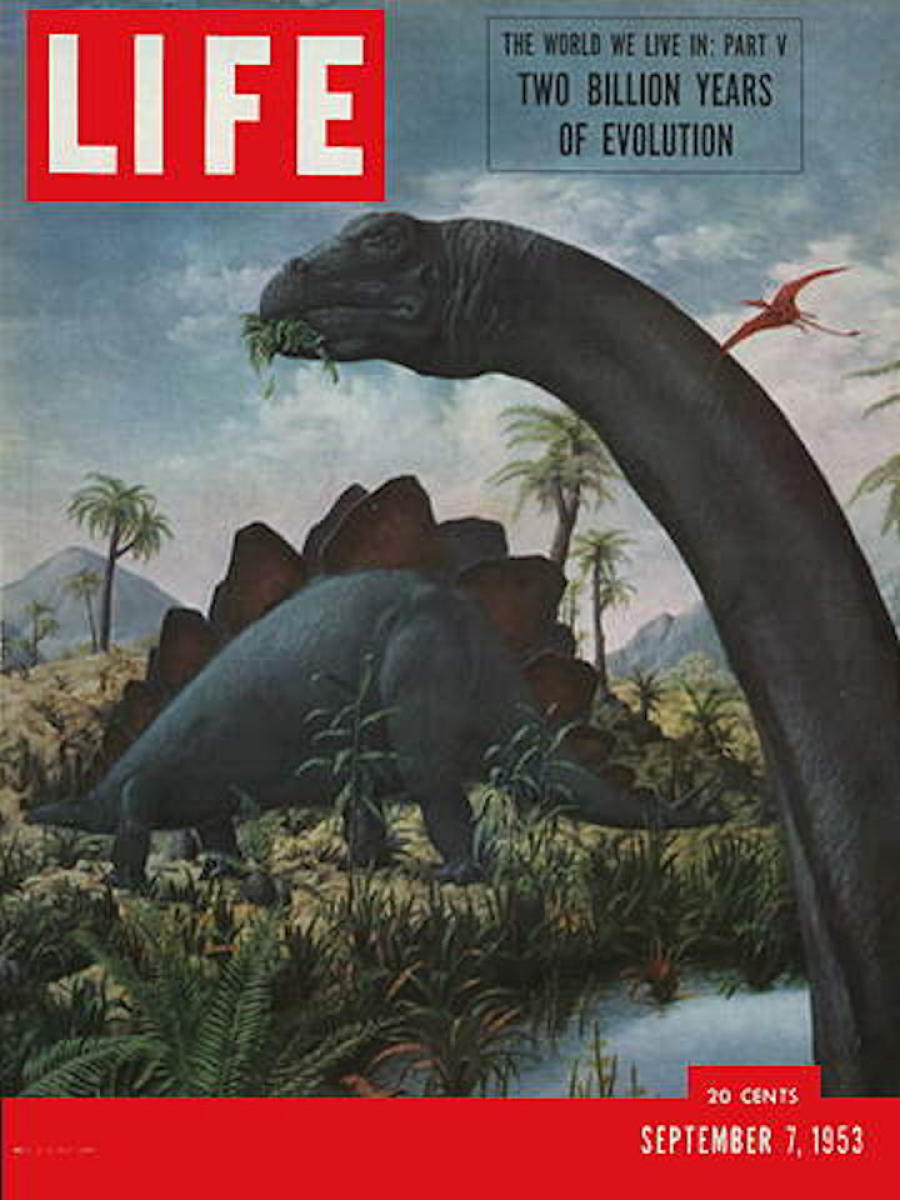 LIFE | September 7, 1953 at Wolfgang's