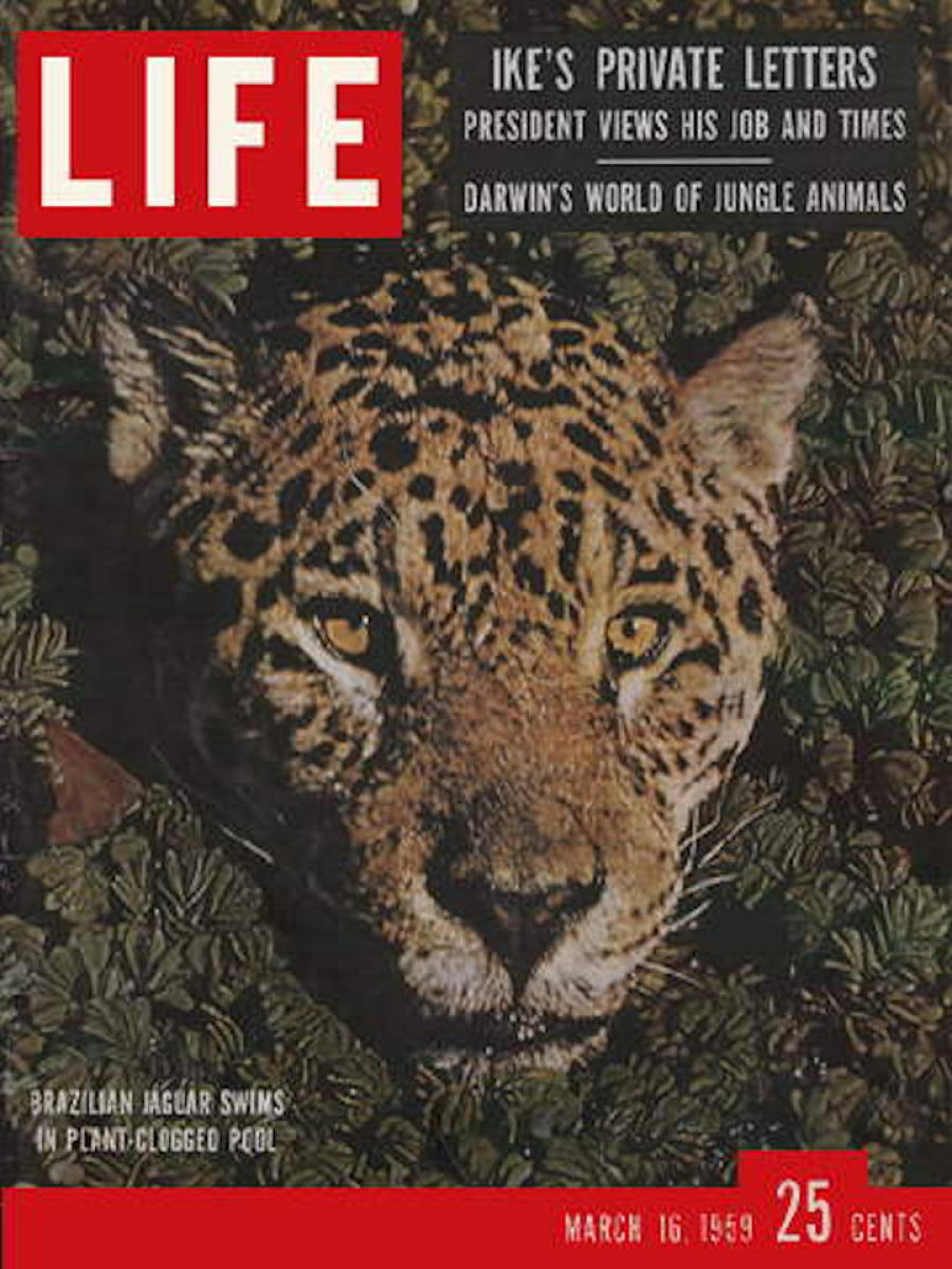 LIFE | March 16, 1959 at Wolfgang's