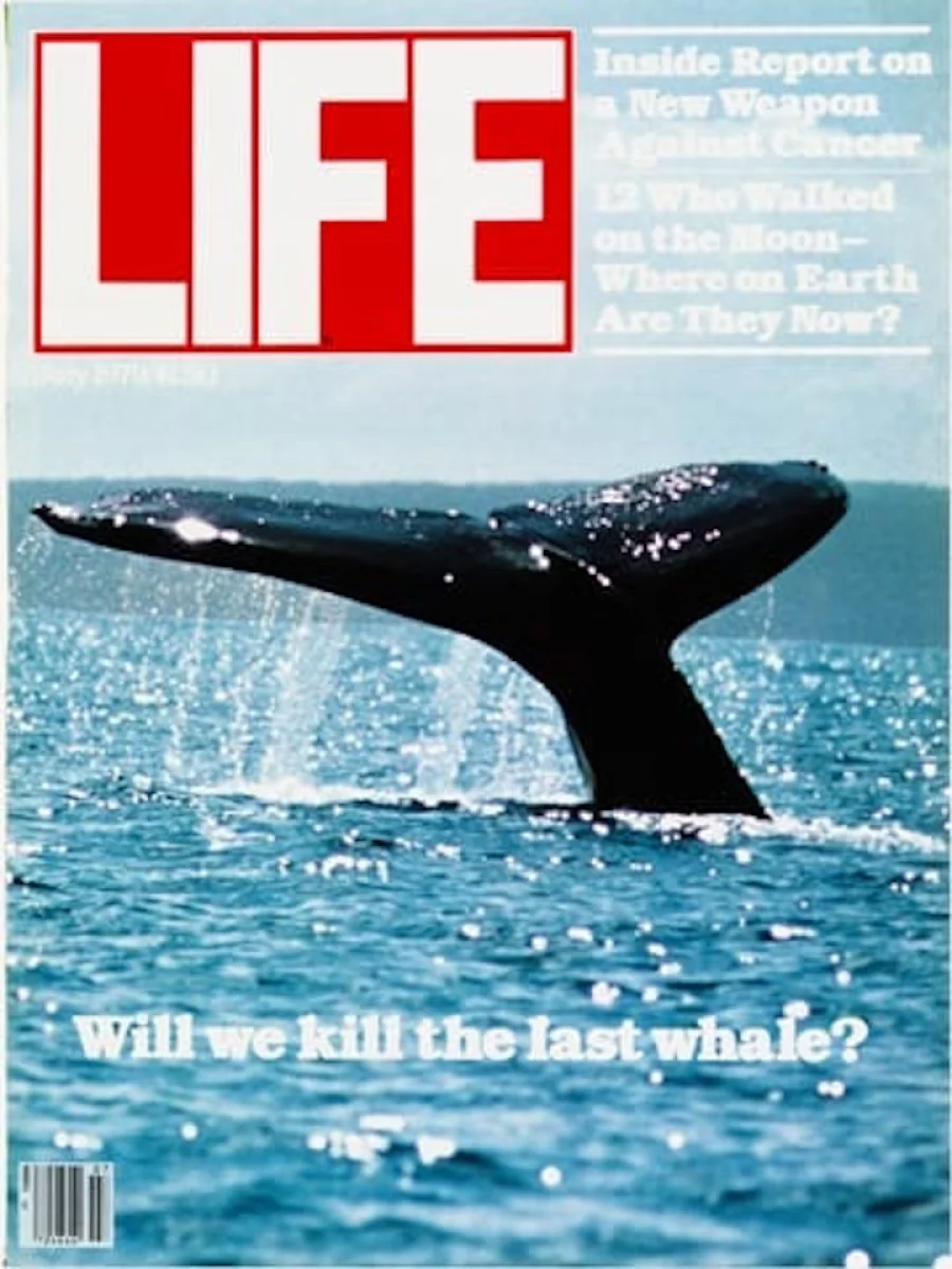 LIFE | July 1979 at Wolfgang's