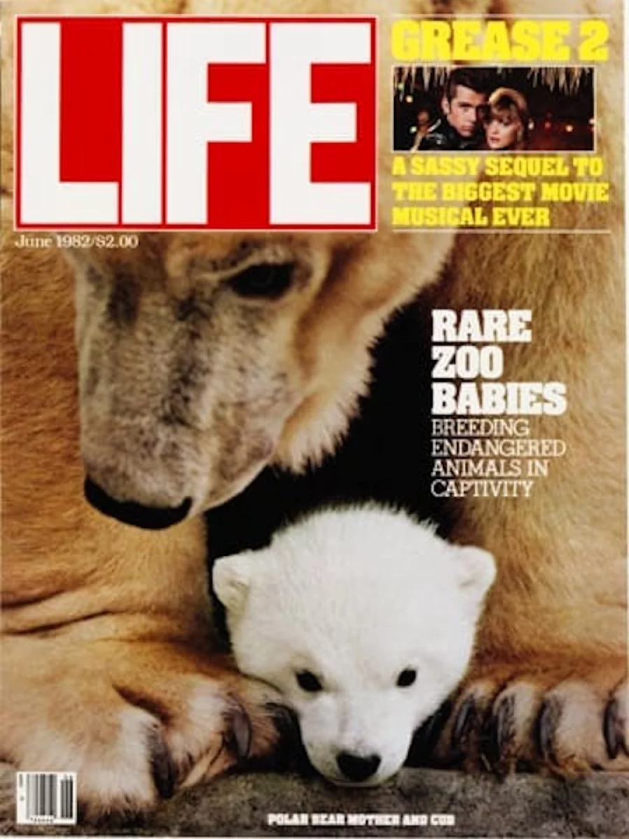 LIFE | June 1982 at Wolfgang's