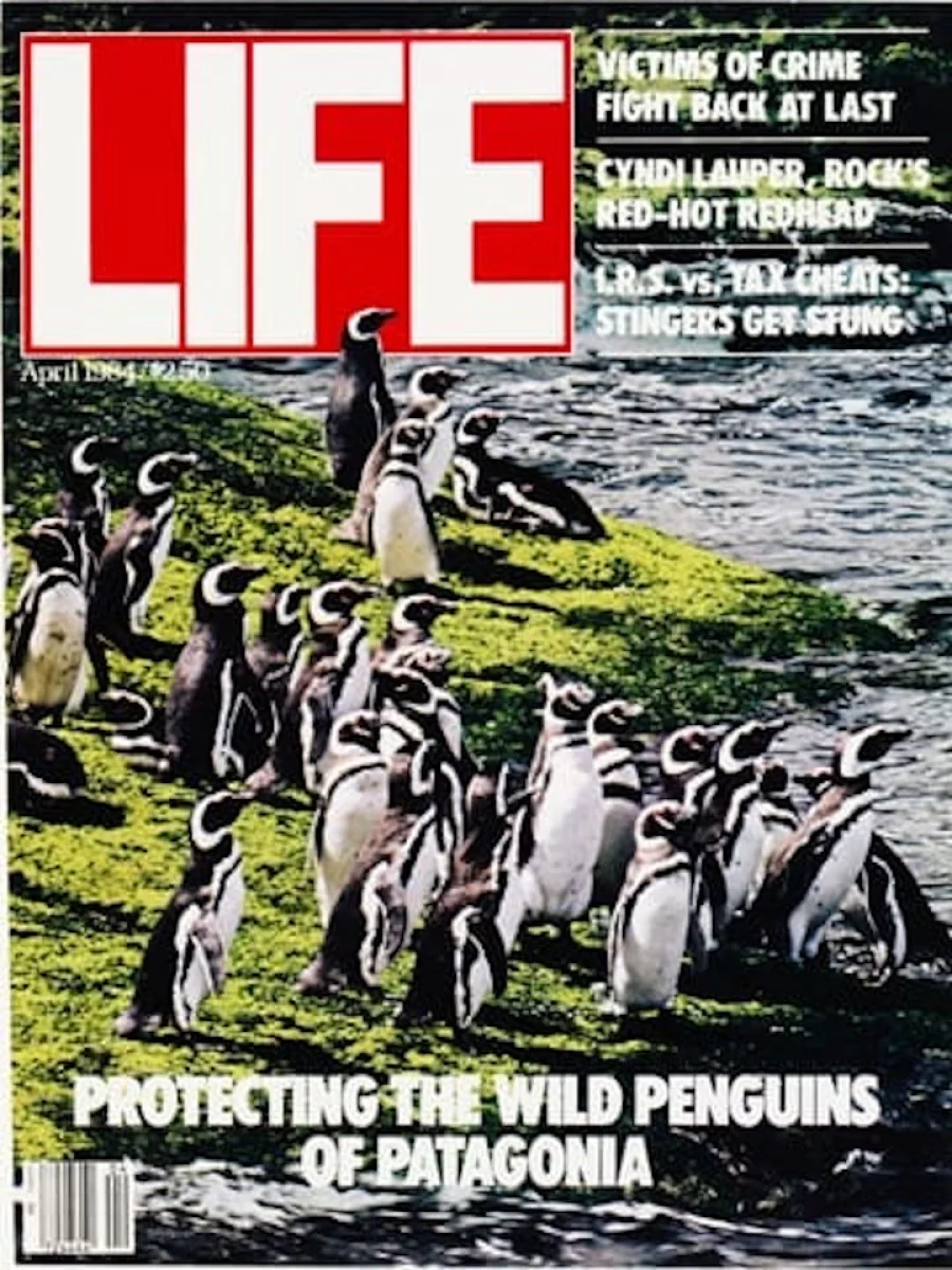 LIFE | April 1984 at Wolfgang's