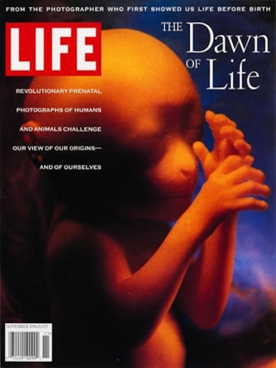 LIFE | November 1996 at Wolfgang's