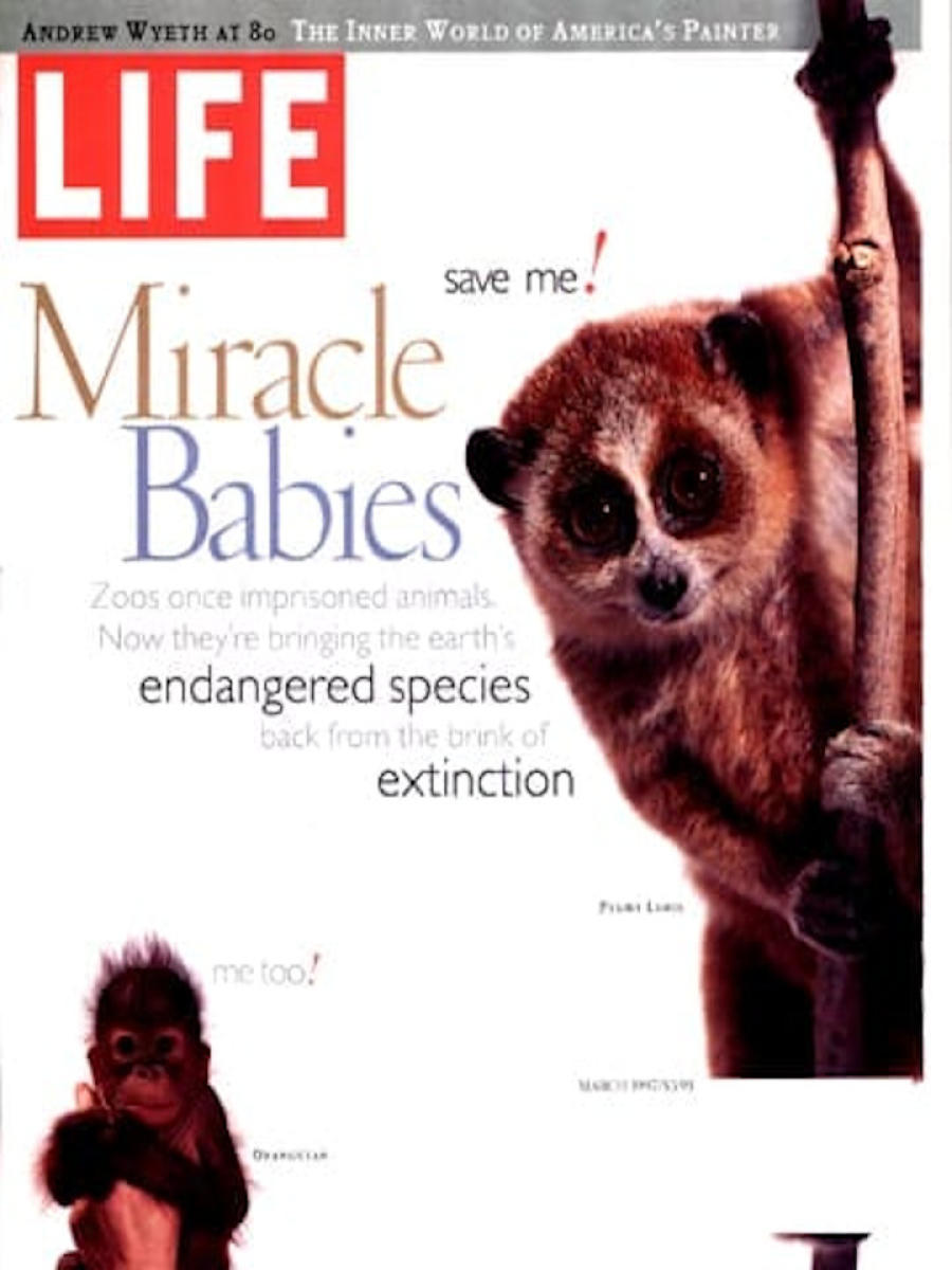 LIFE | March 1997 at Wolfgang's