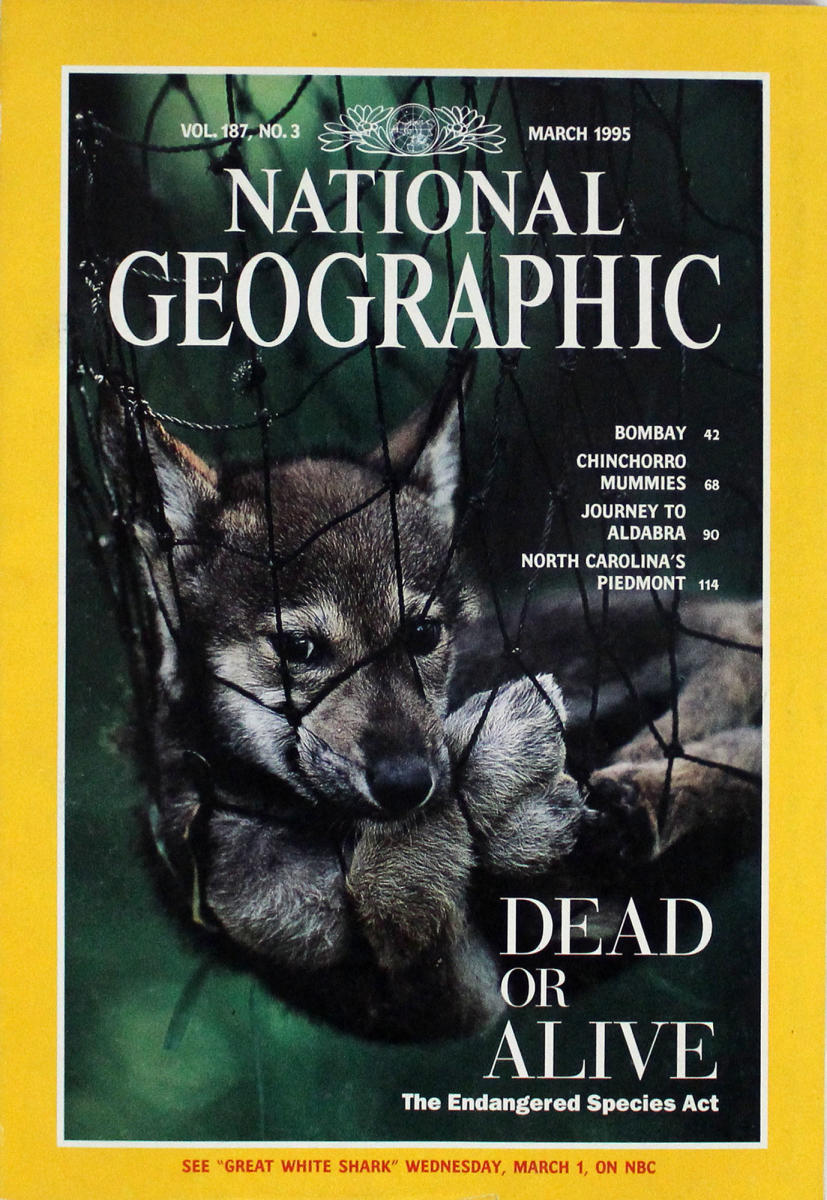 National Geographic | March 1995 at Wolfgang's