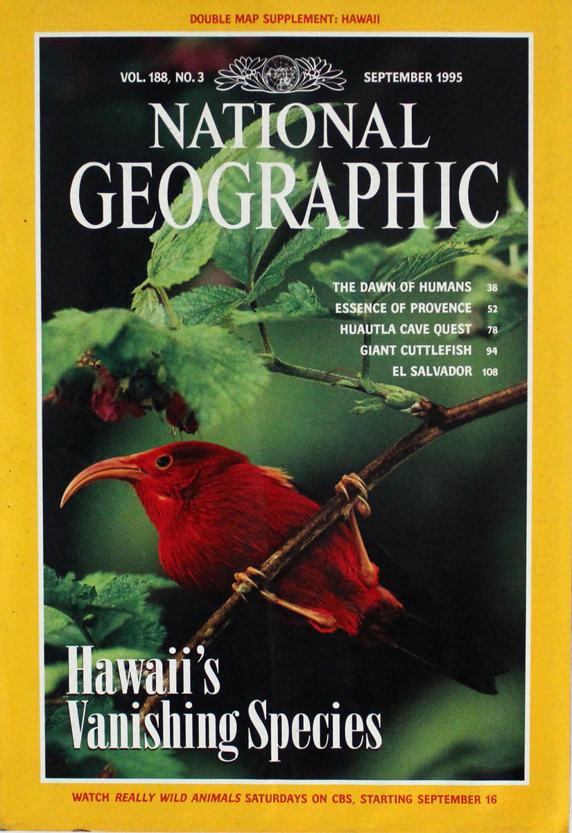 National Geographic | September 1995 at Wolfgang's
