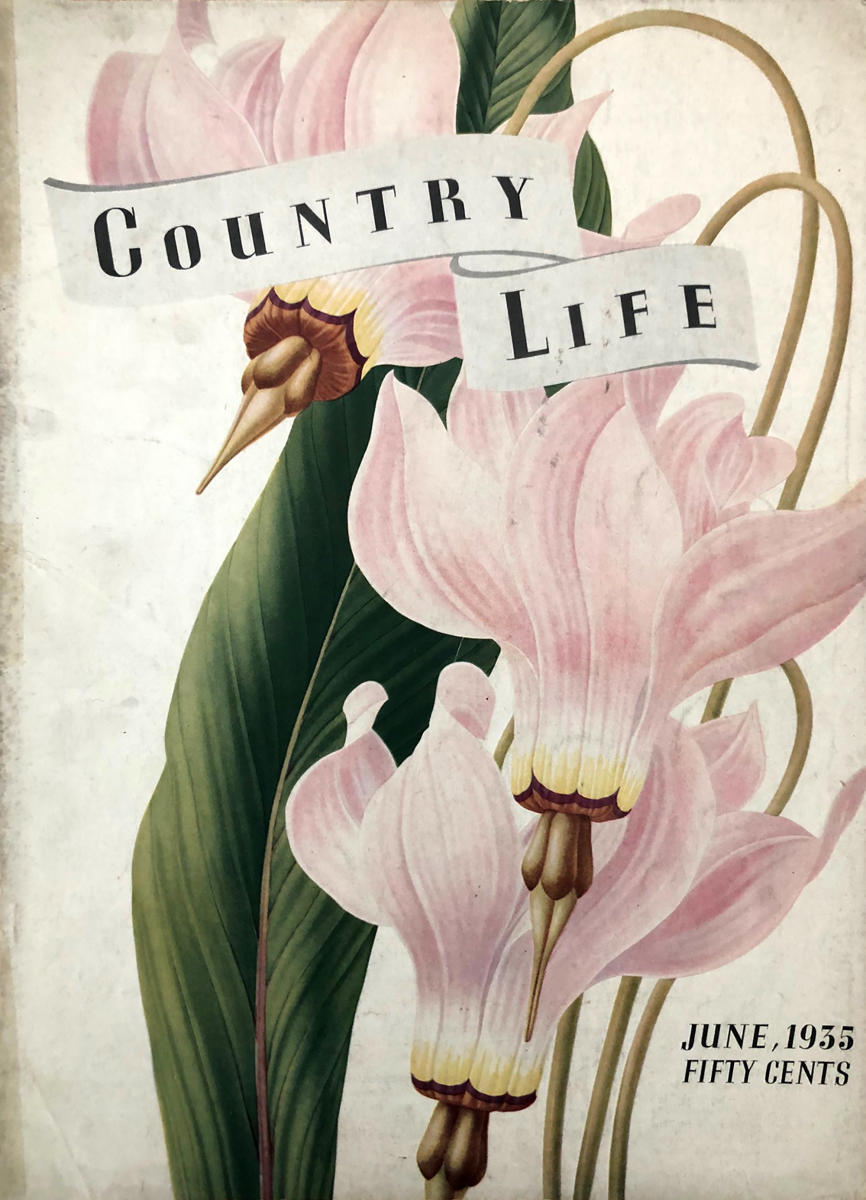 Country Life | June 1935 at Wolfgang's