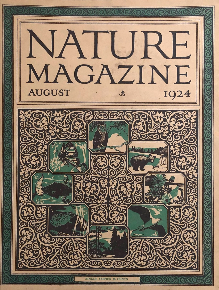 Nature | August 1924 at Wolfgang's