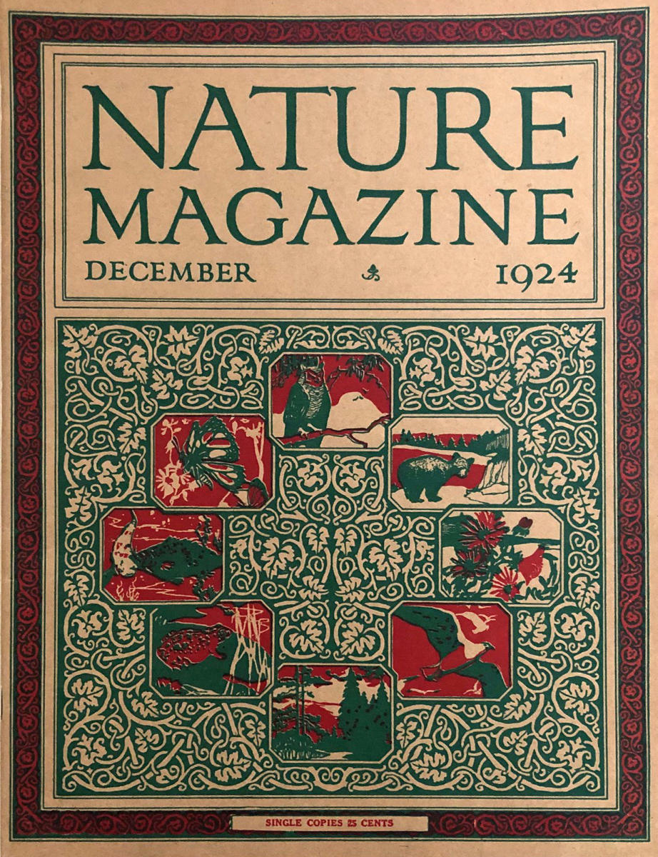 Nature | December 1924 at Wolfgang's