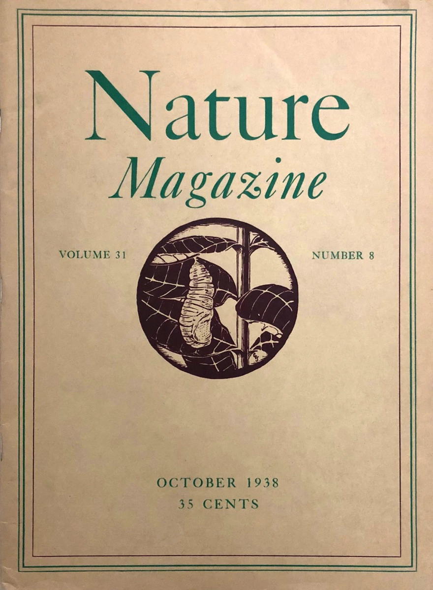 Nature | October 1938 at Wolfgang's
