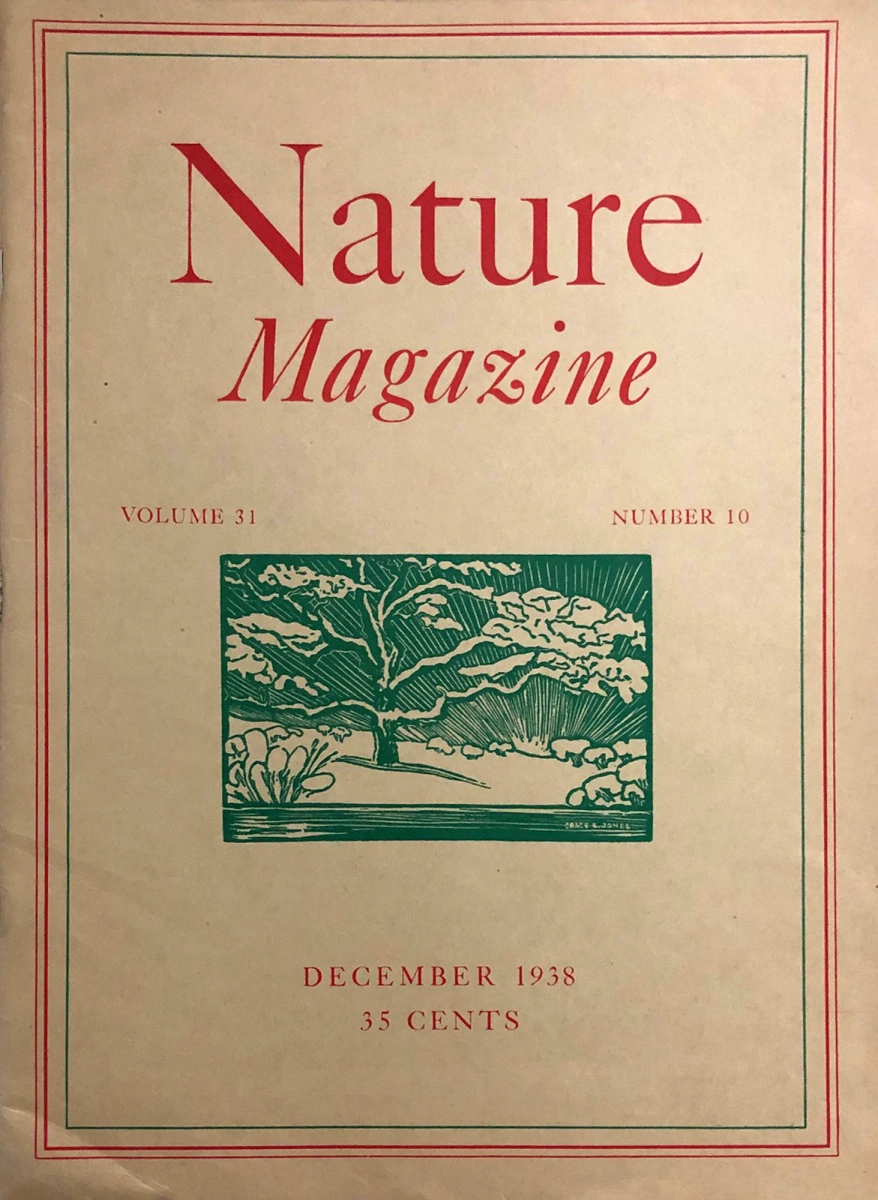 Nature | December 1938 at Wolfgang's