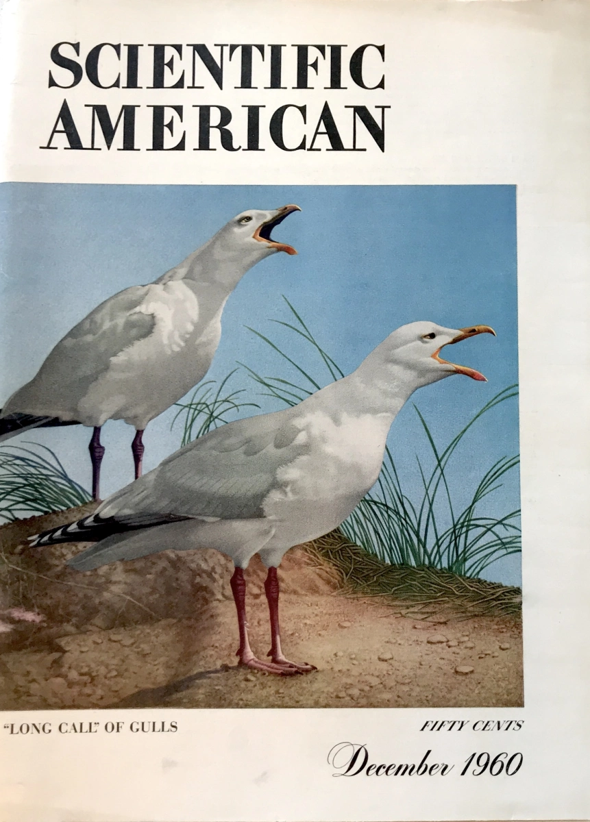 Scientific American | December 1960 at Wolfgang's