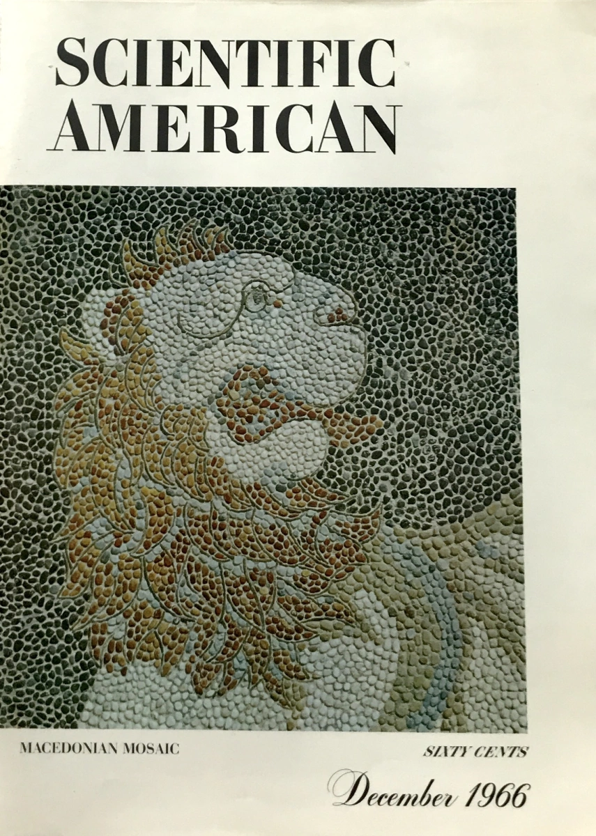 Scientific American | December 1966 at Wolfgang's