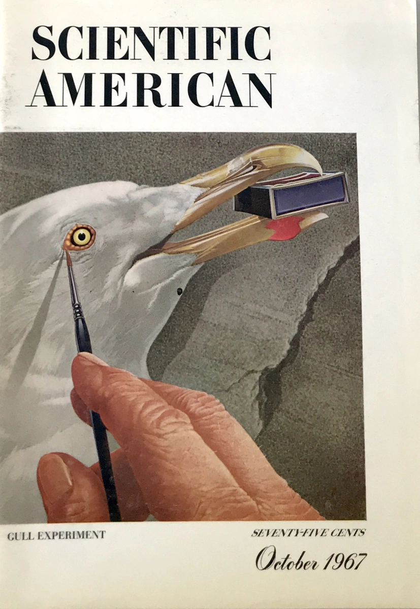 Scientific American | October 1967 at Wolfgang's