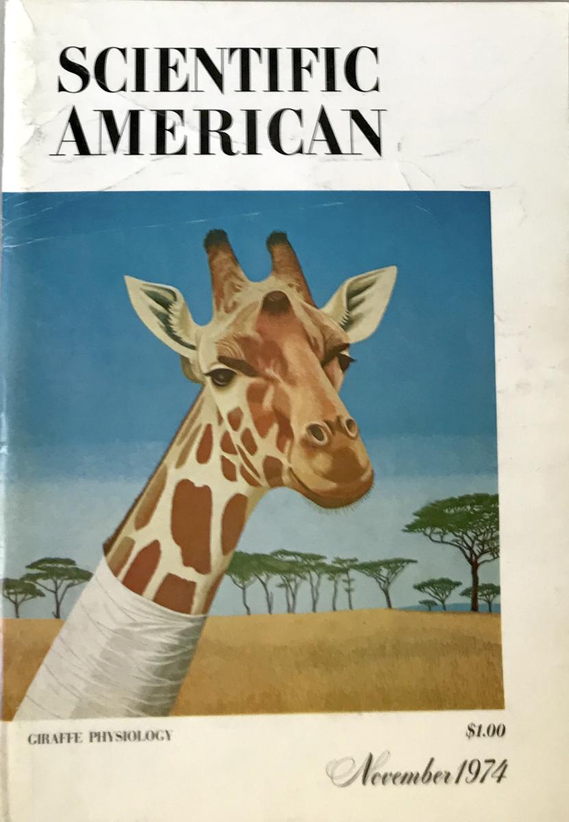Scientific American | November 1974 at Wolfgang's