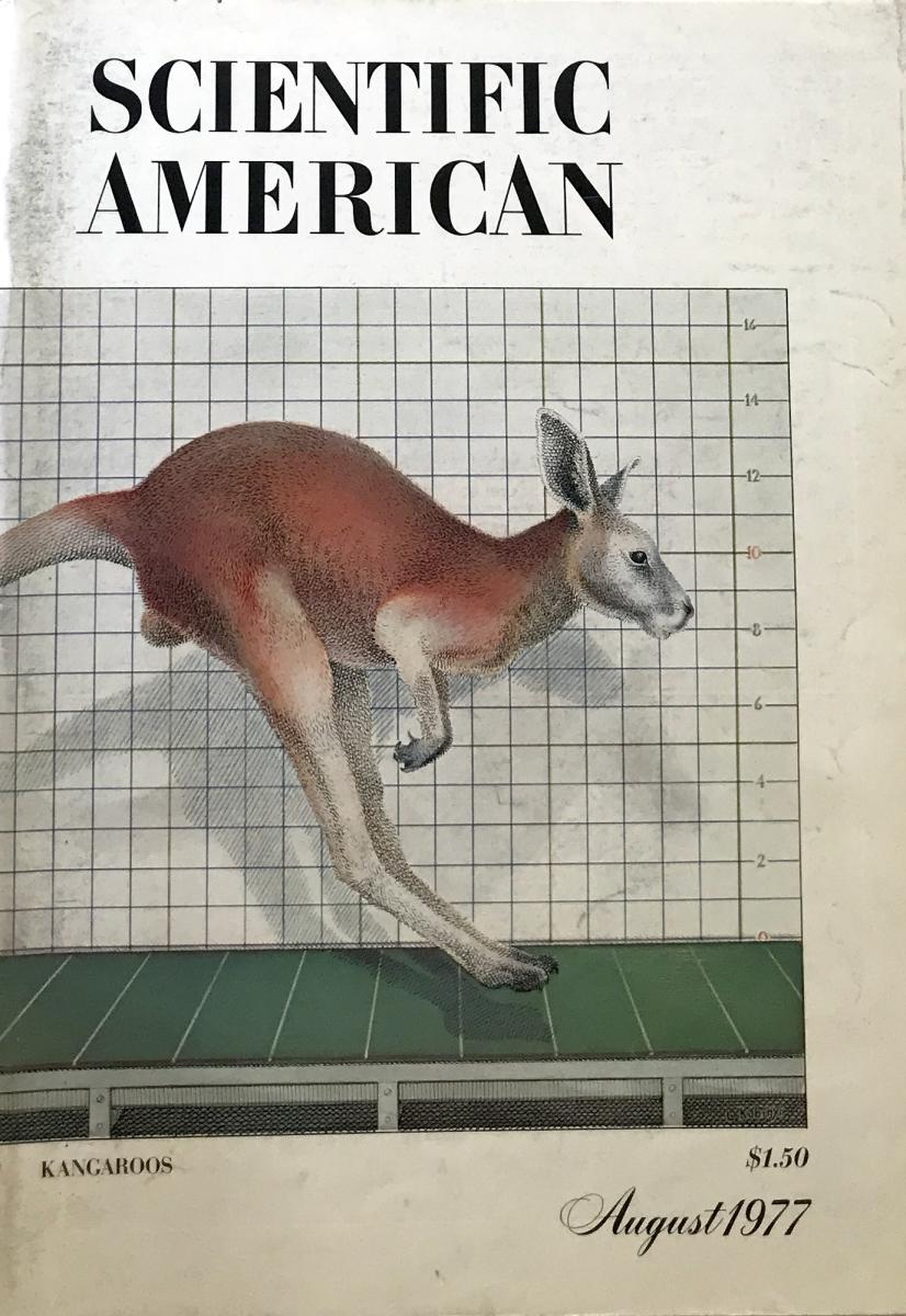 Scientific American | August 1977 at Wolfgang's