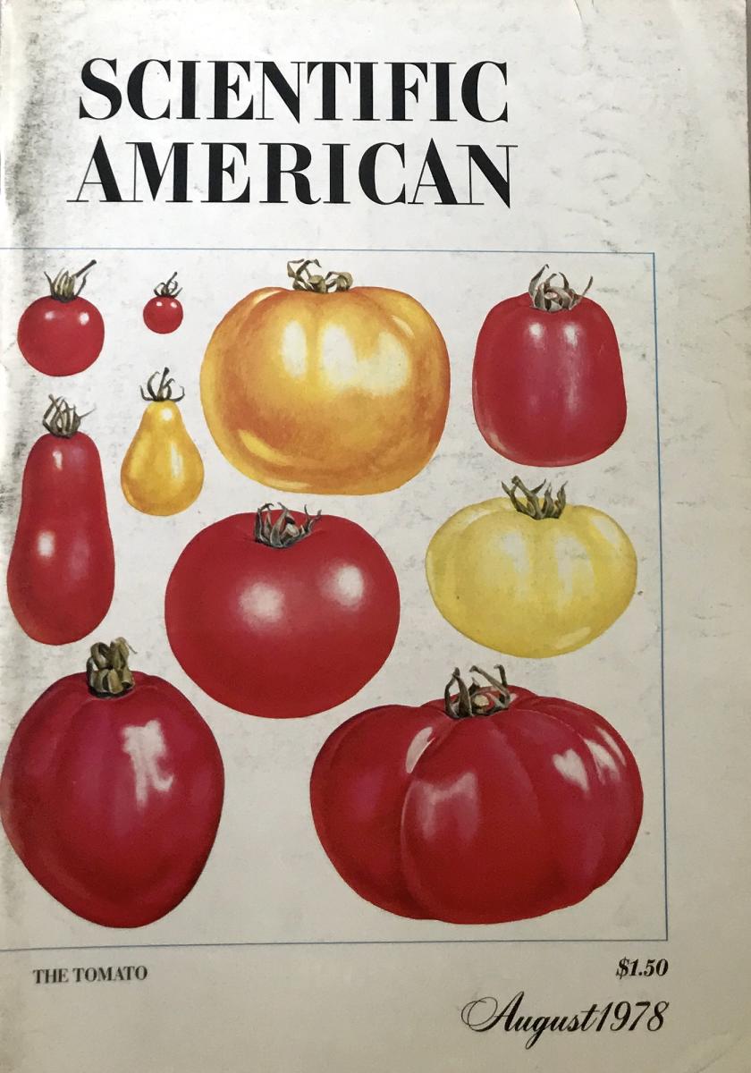 Scientific American | August 1978 at Wolfgang's
