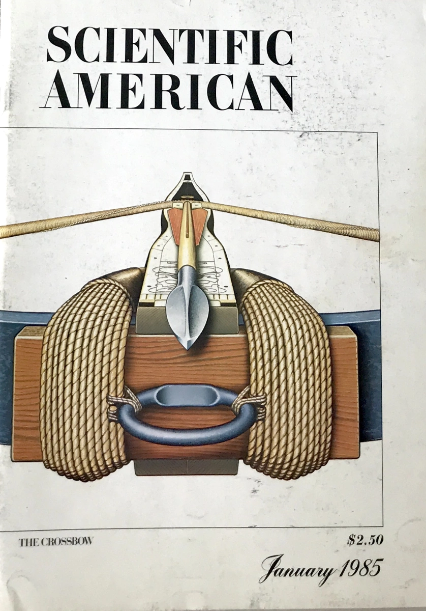 Scientific American | January 1985 at Wolfgang's