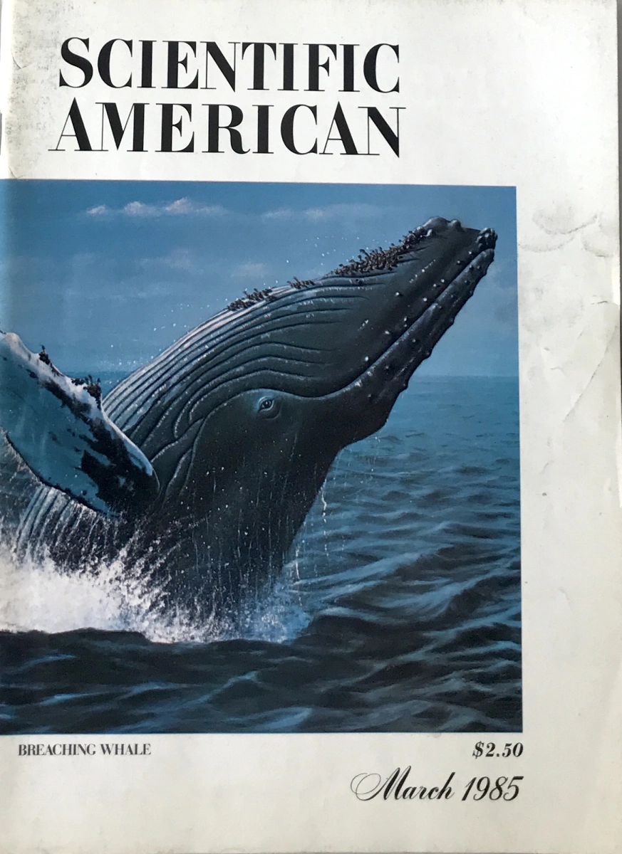 Scientific American | March 1985 at Wolfgang's