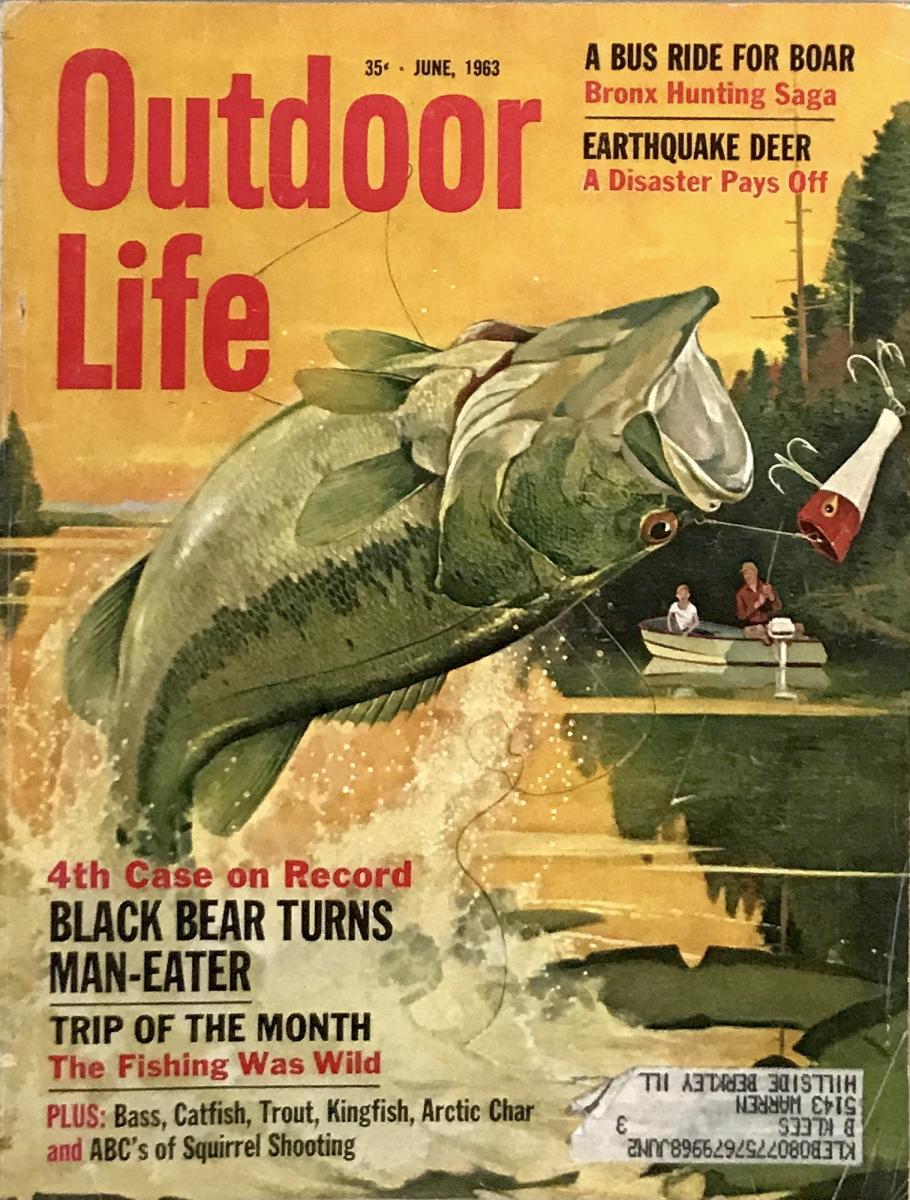 Outdoor Life Magazine Logo Outdoor Life Magazine Cover February 1949