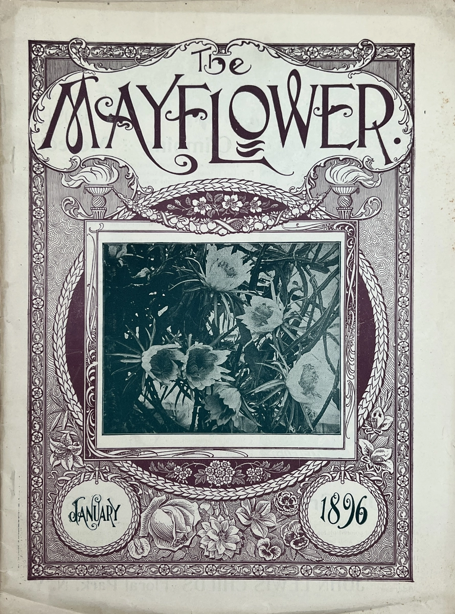 The Mayflower | January 1896 at Wolfgang's