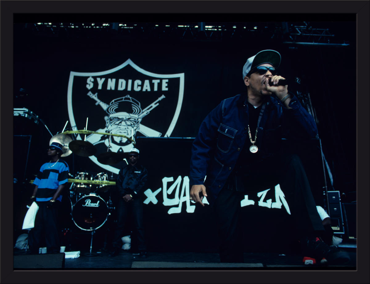 Ice-T Vintage Concert Photo Photo Poster from Shoreline Amphitheatre ...