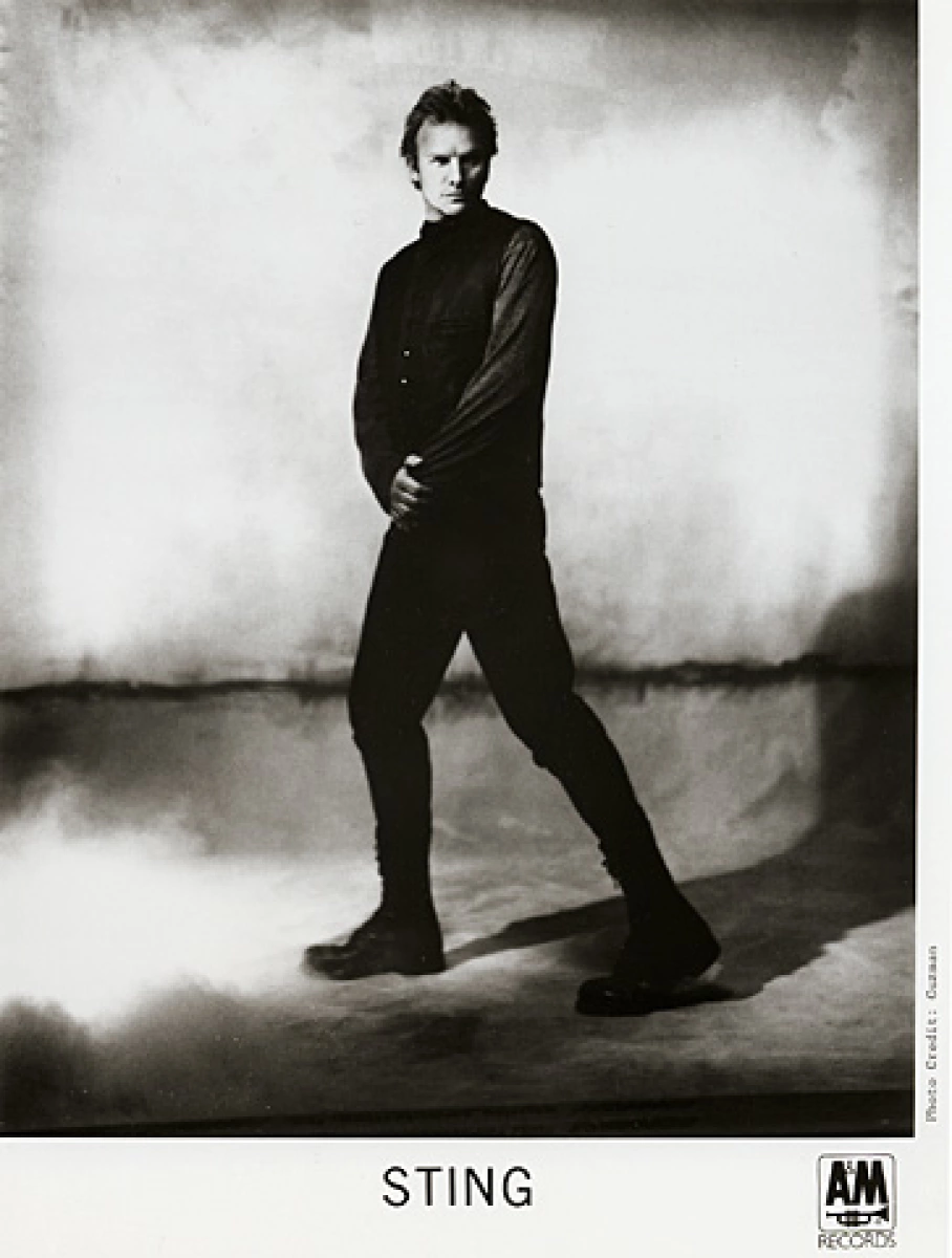 Sting Vintage Concert Photo Promo Print at Wolfgang's