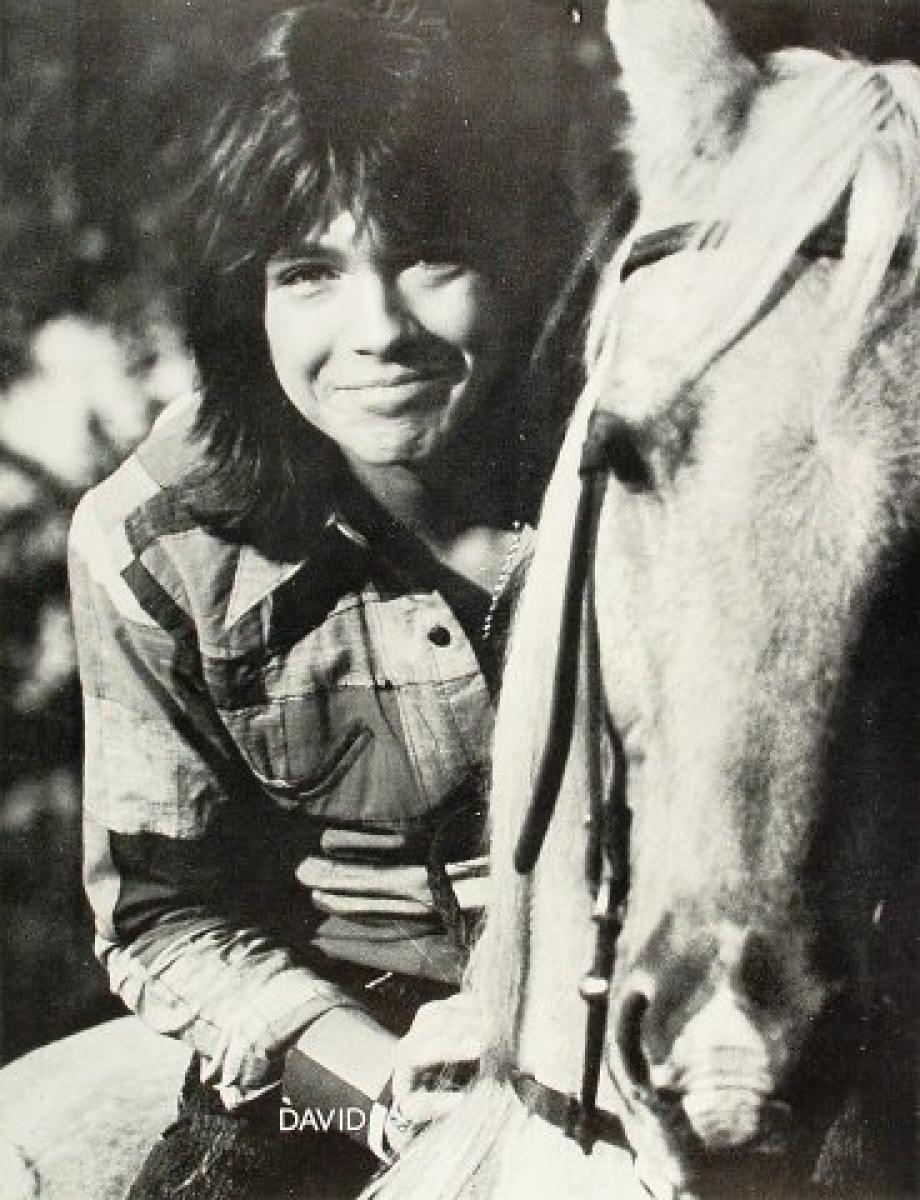 David Cassidy Vintage Concert Poster At Wolfgangs