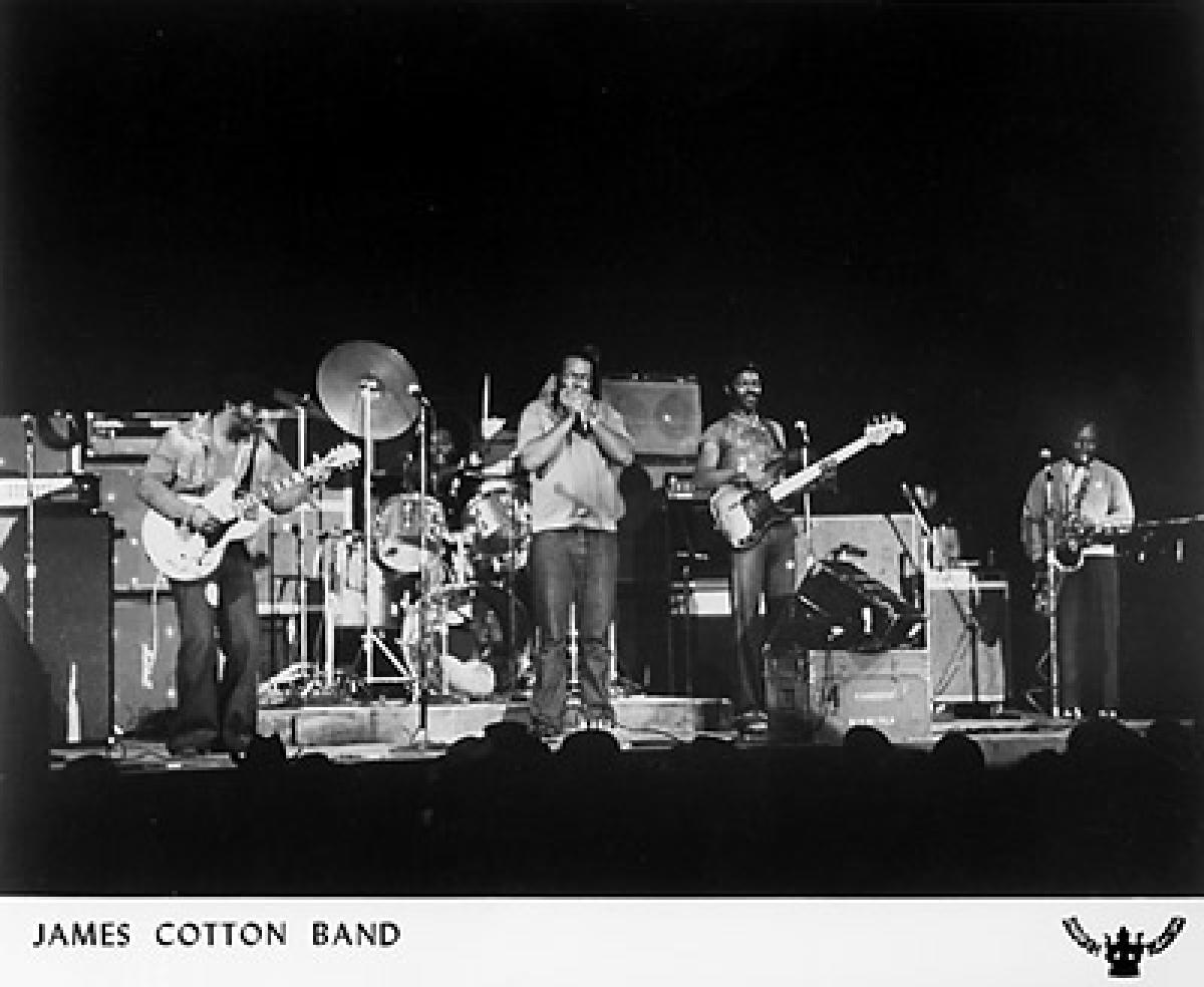 James Cotton Blues Band Vintage Concert Photo Promo Print at Wolfgang's
