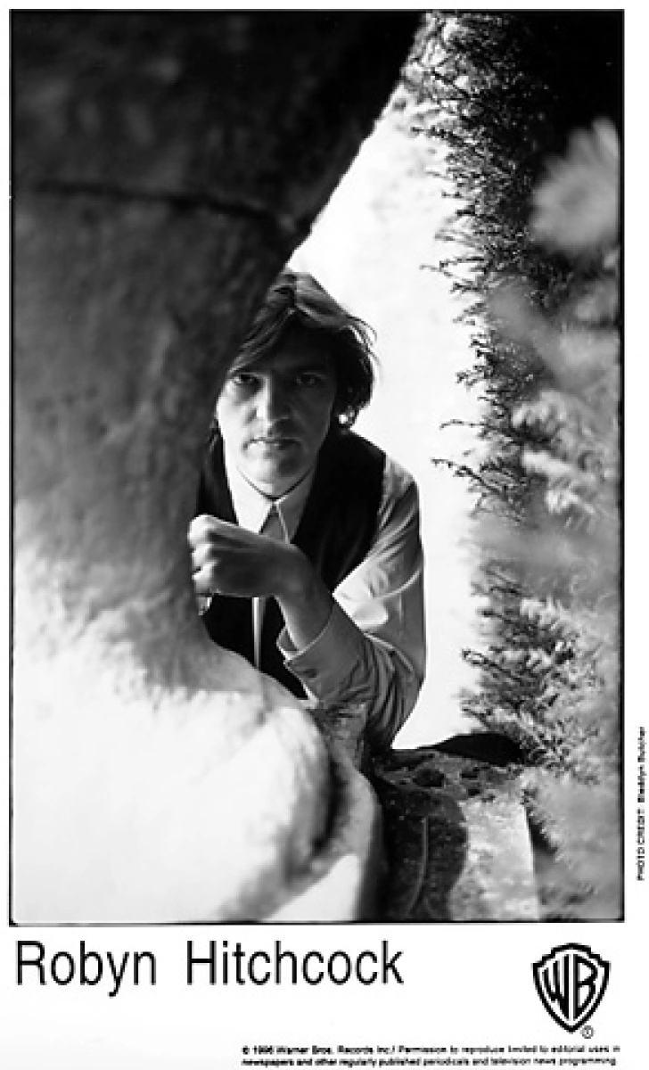 Robyn Hitchcock Vintage Concert Photo Promo Print, 1996 at Wolfgang's