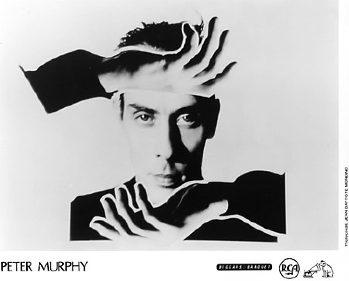 Peter Murphy Vintage Concert Photo Promo Print at Wolfgang's