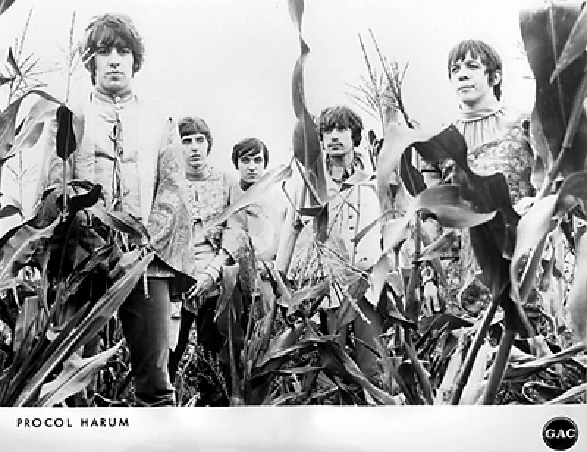 Procol Harum Vintage Concert Photo Promo Print at Wolfgang's