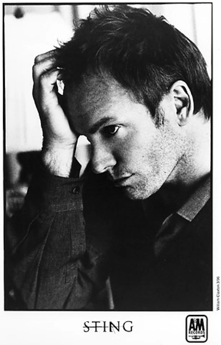 Sting Vintage Concert Photo Promo Print, 1996 at Wolfgang's