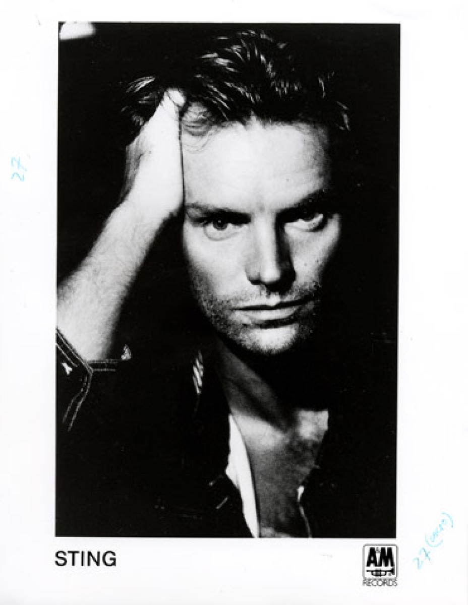 Sting Vintage Concert Photo Promo Print at Wolfgang's