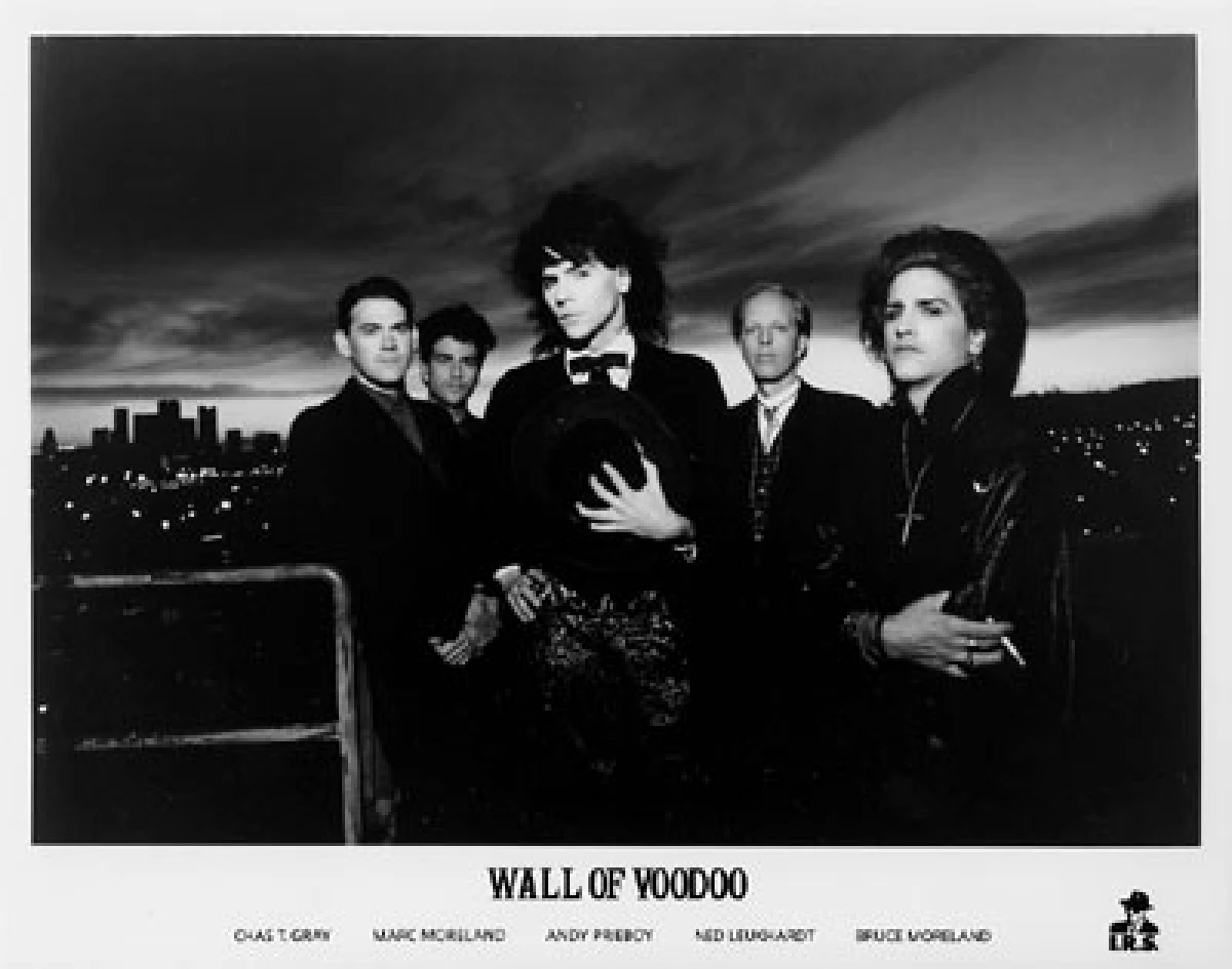 Wall of Voodoo Vintage Concert Photo Promo Print at Wolfgang's
