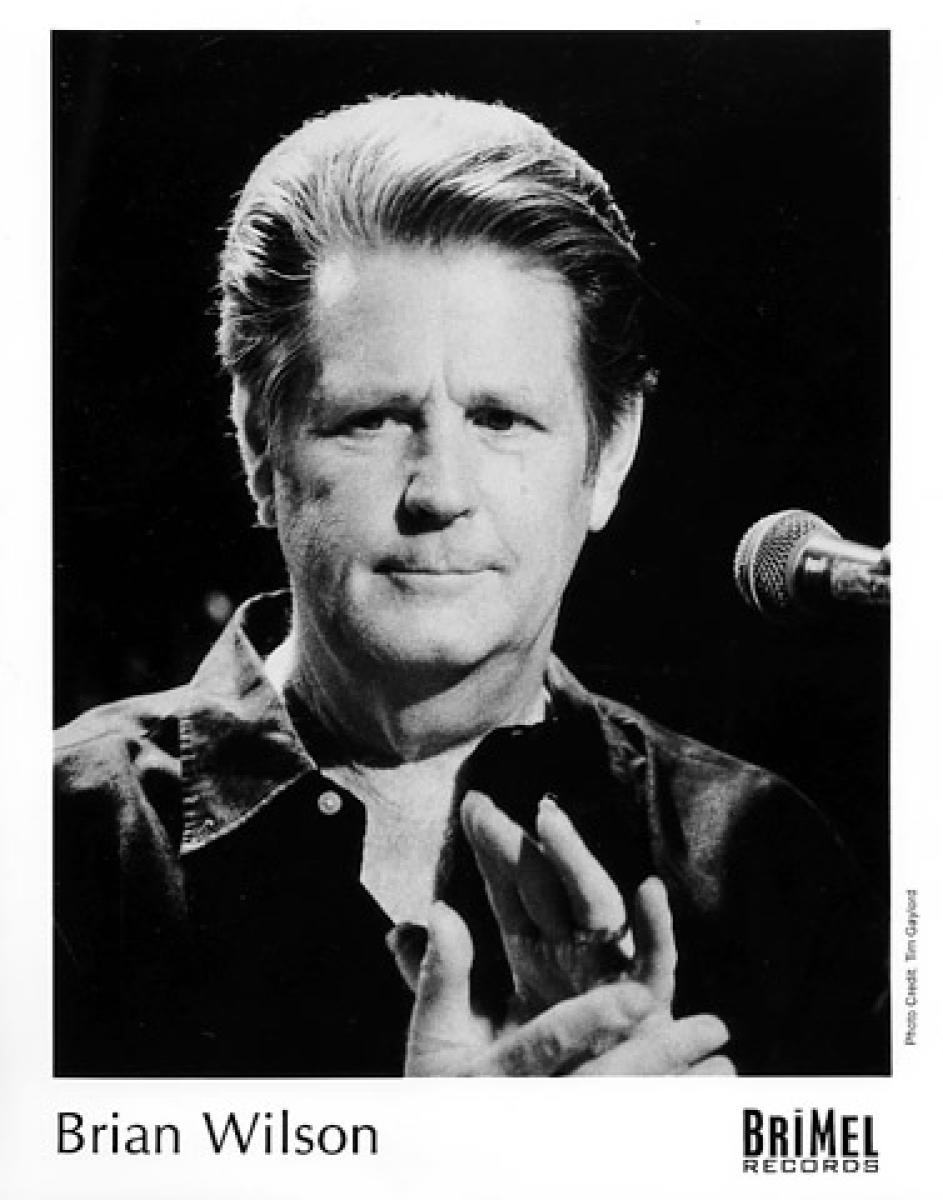 Brian Wilson Vintage Concert Photo Promo Print at Wolfgang's
