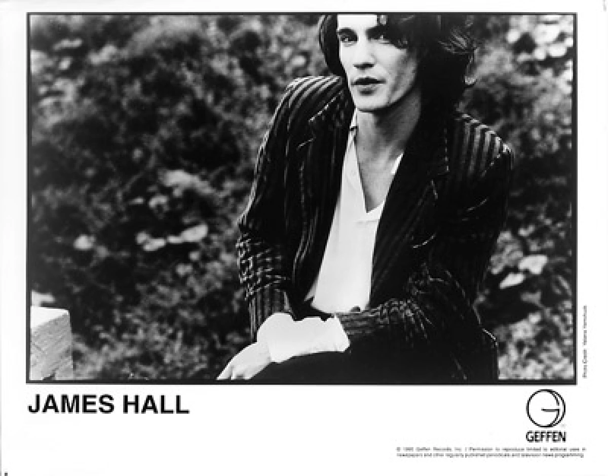 James Hall Vintage Concert Photo Promo Print, 1995 at Wolfgang's
