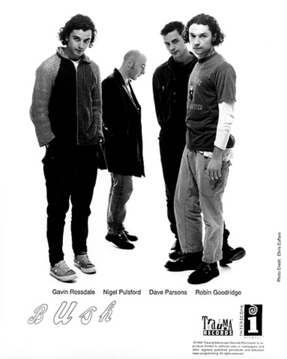 Bush Vintage Concert Photo Promo Print, 1994 at Wolfgang's