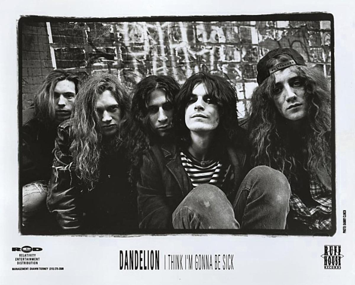 Dandelion Vintage Concert Photo Promo Print at Wolfgang's