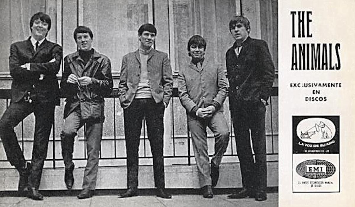 Concert & Band Photos > The Animals at Wolfgang's