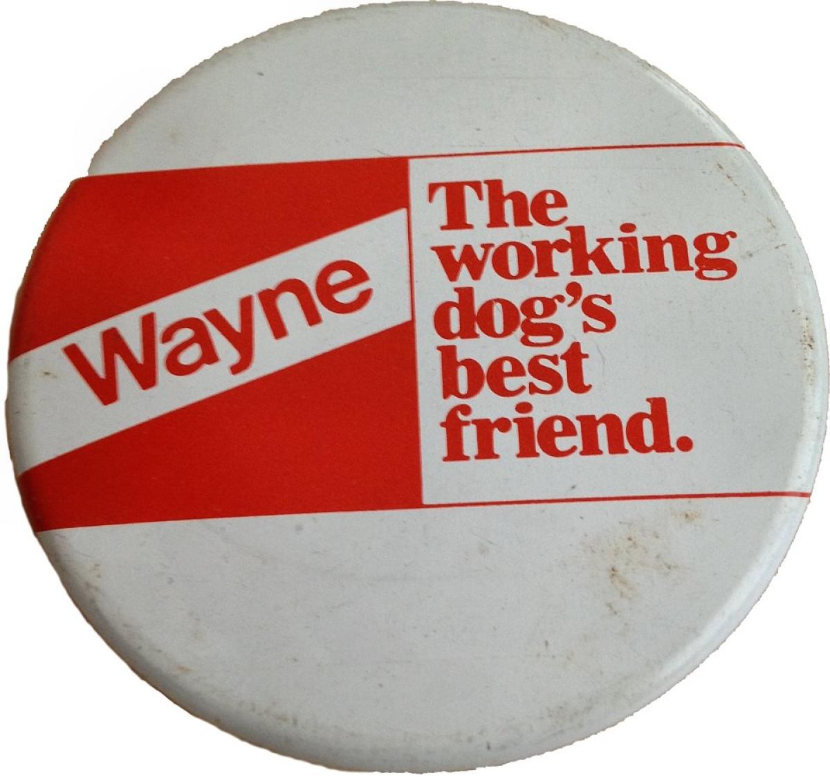 Wayne Pin at Wolfgang's