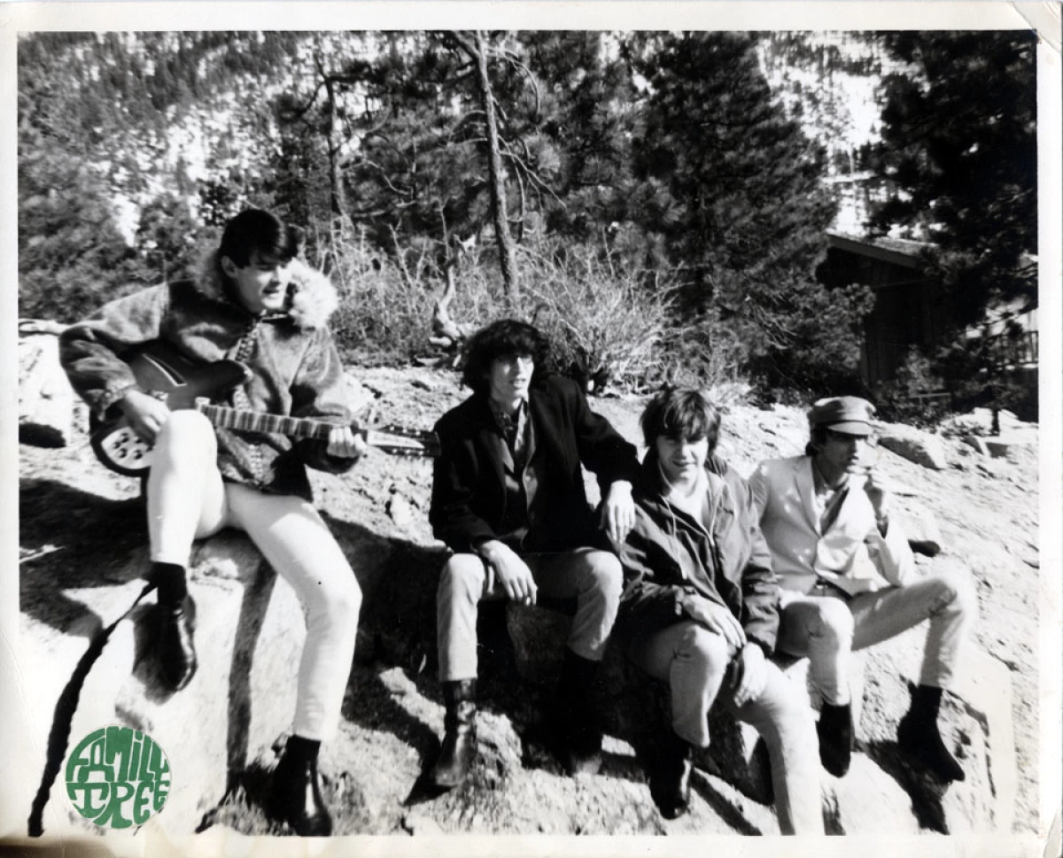 Family Tree Vintage Concert Photo Promo Print at Wolfgang's