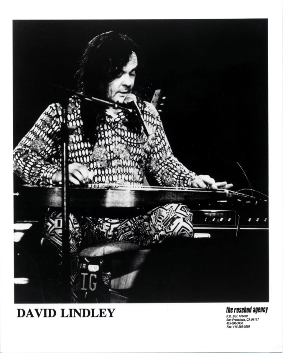 David Lindley Vintage Concert Photo Promo Print at Wolfgang's