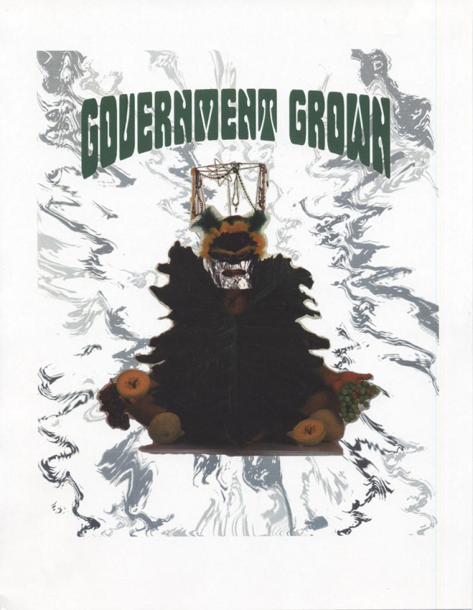 Government Grown Vintage Concert Photo Promo Print at Wolfgang's