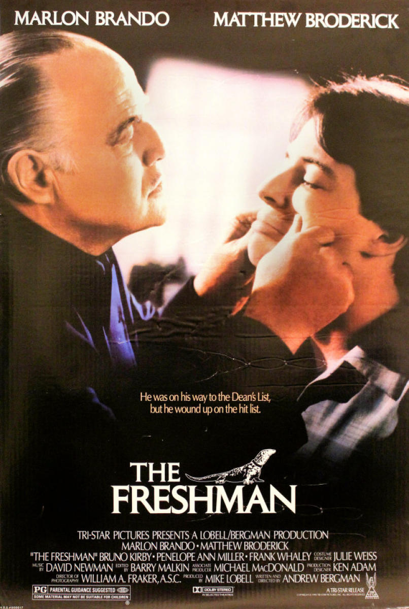 The Freshman Vintage Concert Poster, Jul 20, 1990 at Wolfgang's