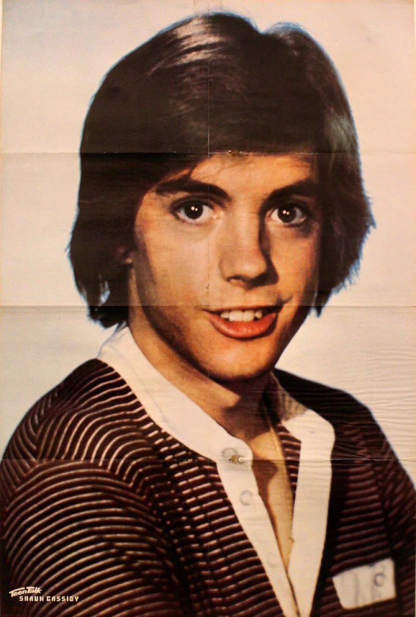 Teen Talk Shaun Cassidy Vintage Concert Poster At Wolfgangs