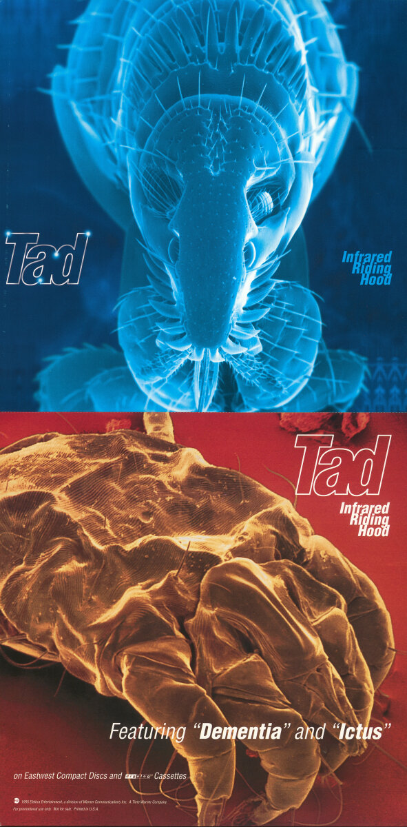 Tad Vintage Concert Poster, 1995 at Wolfgang's