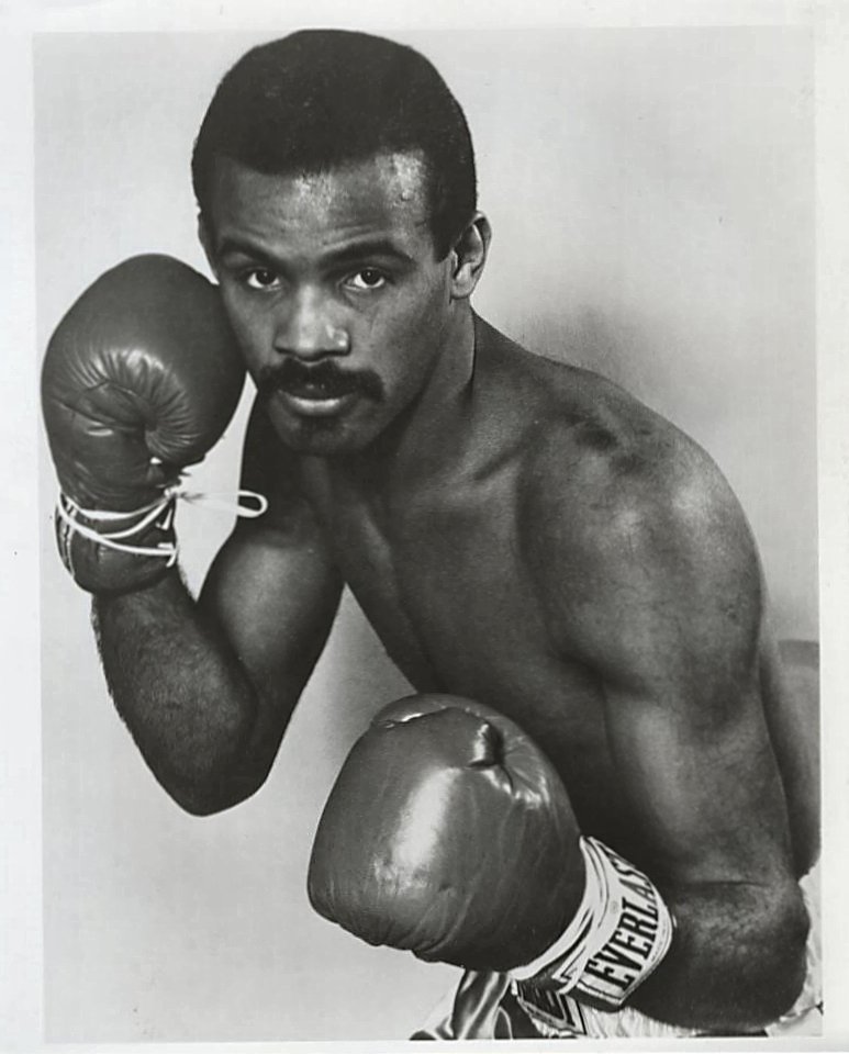 My family and I saw this picture of a boxer in a restaurant and were ...