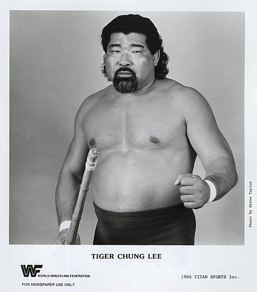 Tous les adversaires de Hulk Hogan pour le championnat du monde de la ...